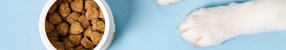 Best-Selling Products – Page 2