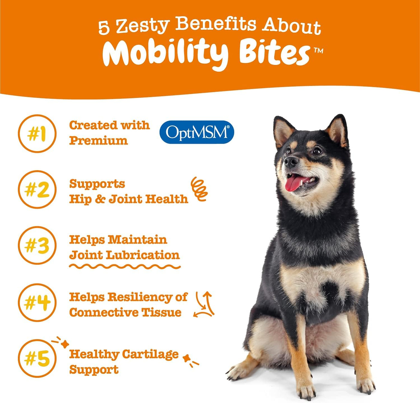 Hip and Joint Mobility Bites™ for Dogs | Zesty Paws