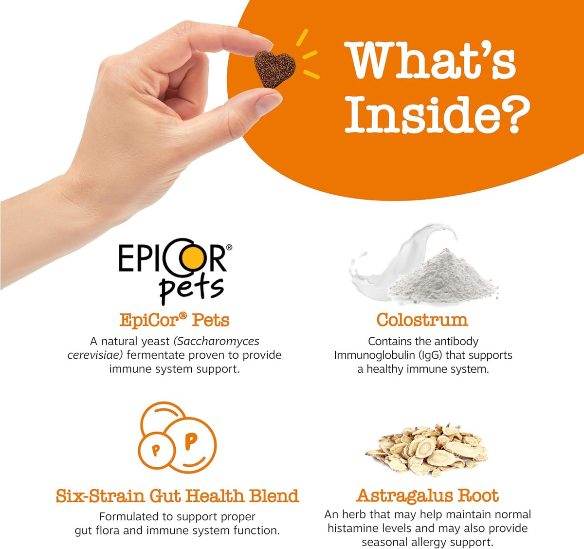 Allergy & Immune Bites with EpiCor® for Dogs | Zesty Paws