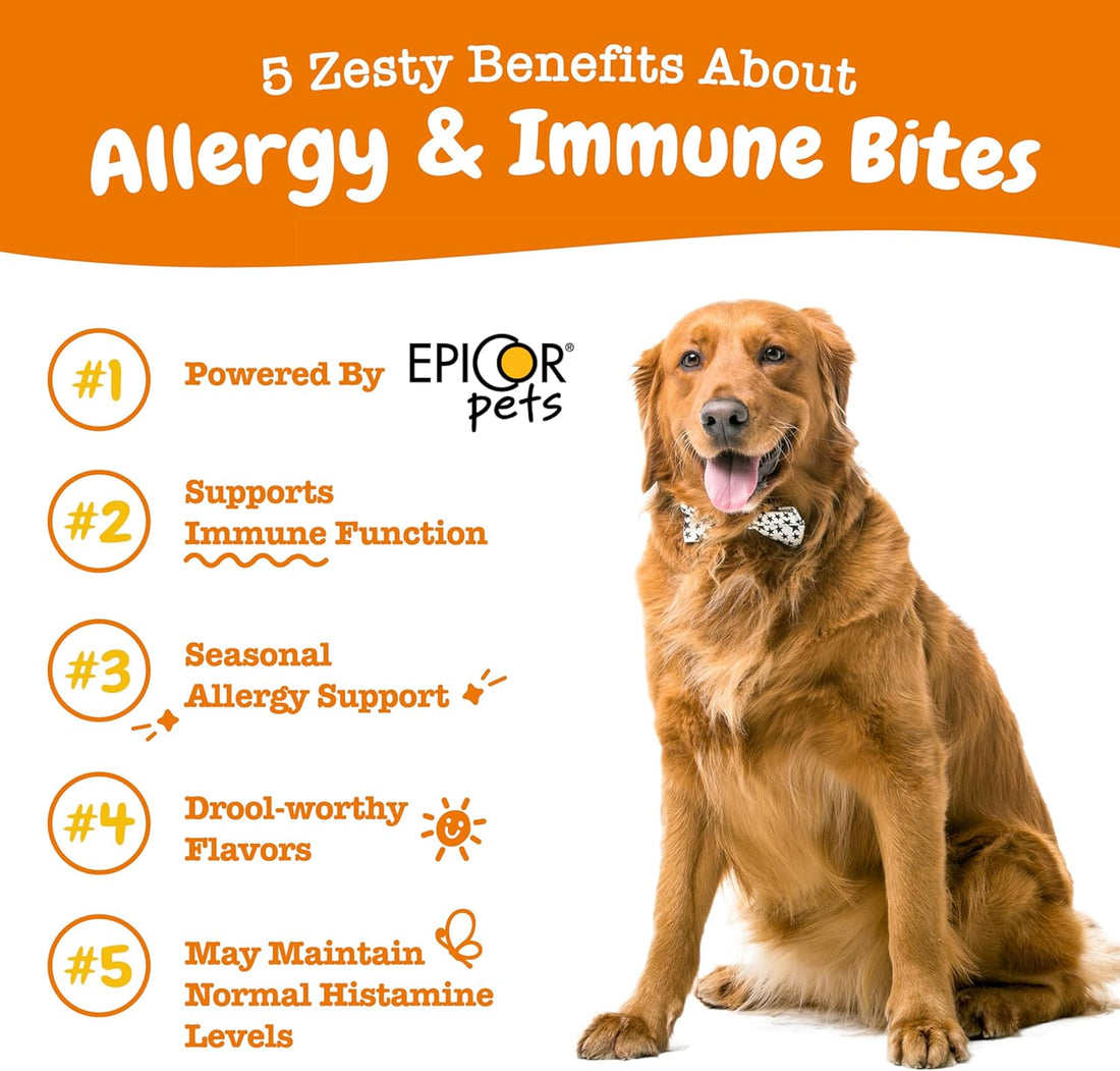 Allergy & Immune Bites with EpiCor® for Dogs | Zesty Paws
