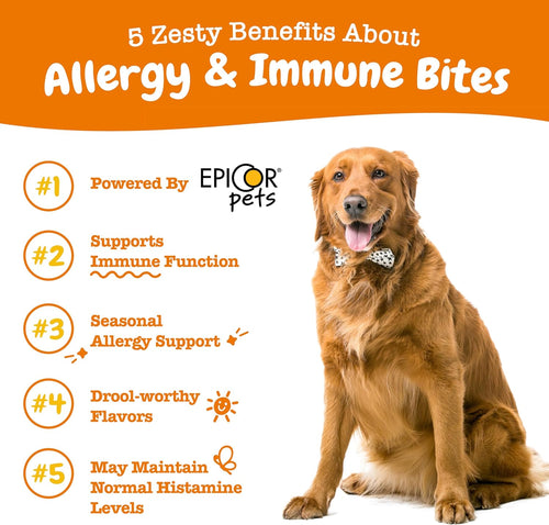 Allergy & Immune Bites with EpiCor® for Dogs | Zesty Paws