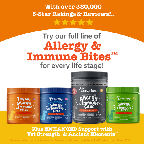 Allergy & Immune Bites with EpiCor® for Dogs | Zesty Paws