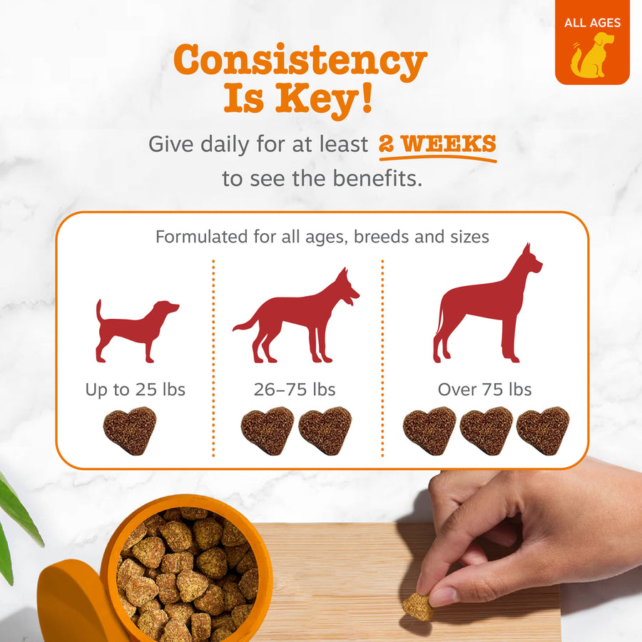 Urinary Tract Bites | UT Support for Dogs | Zesty Paws