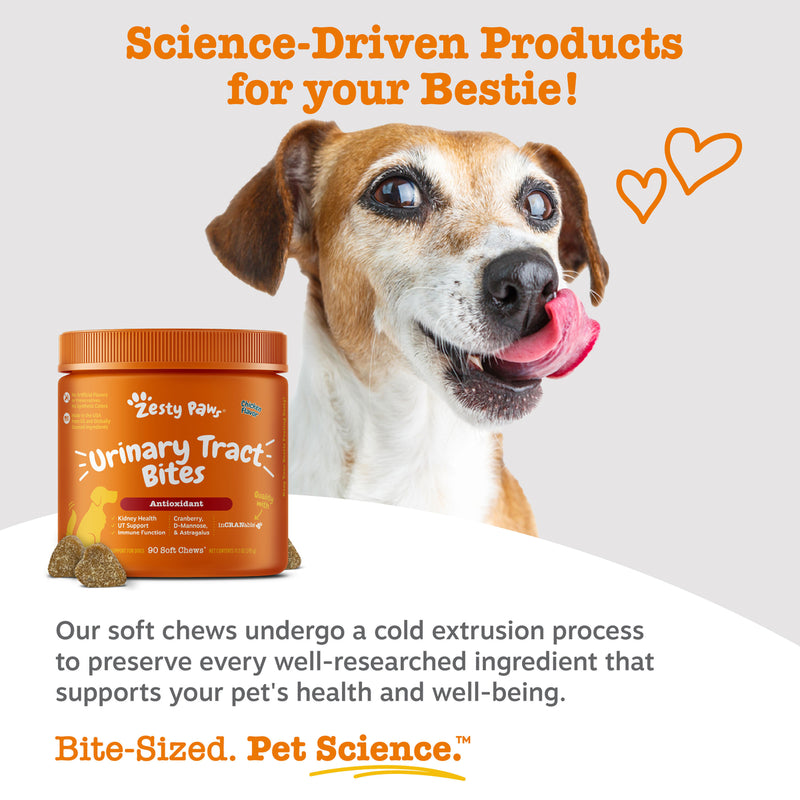 Urinary Tract Bites | UT Support for Dogs | Zesty Paws