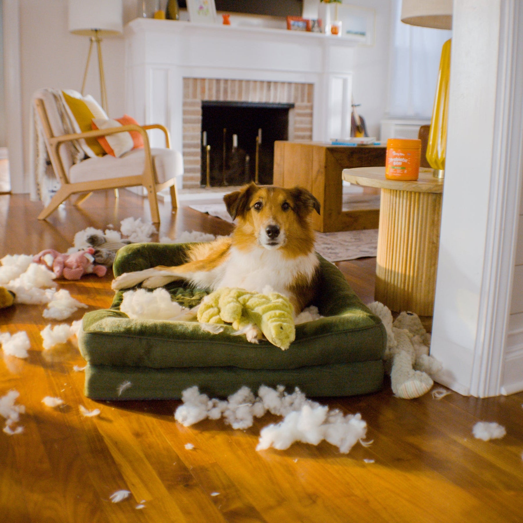 Zesty Paws | Premium Quality Cat and Dog Supplements