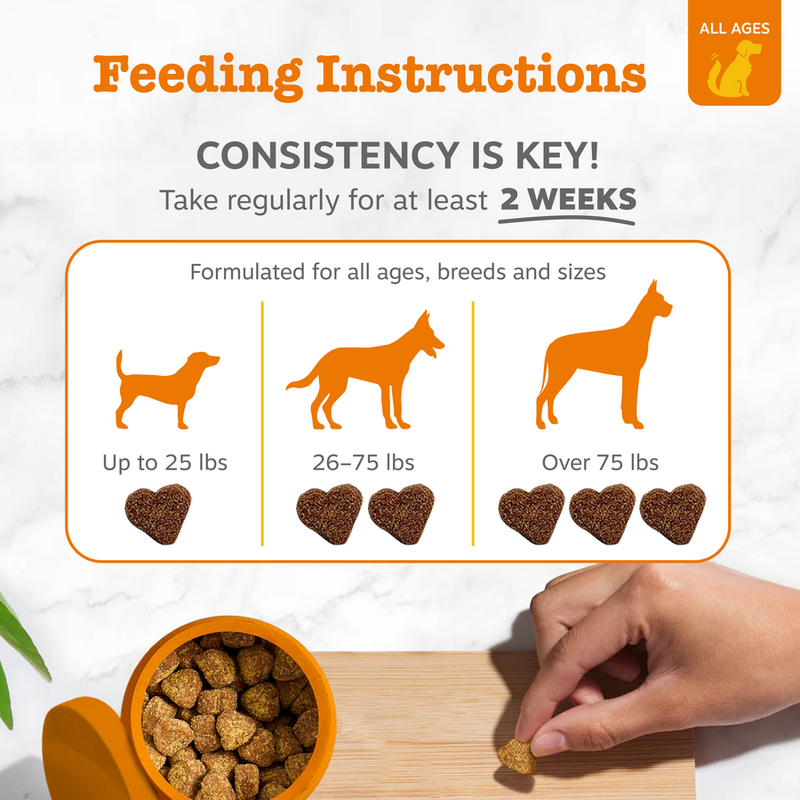 Hip and Joint Mobility Bites™ for Dogs | Zesty Paws