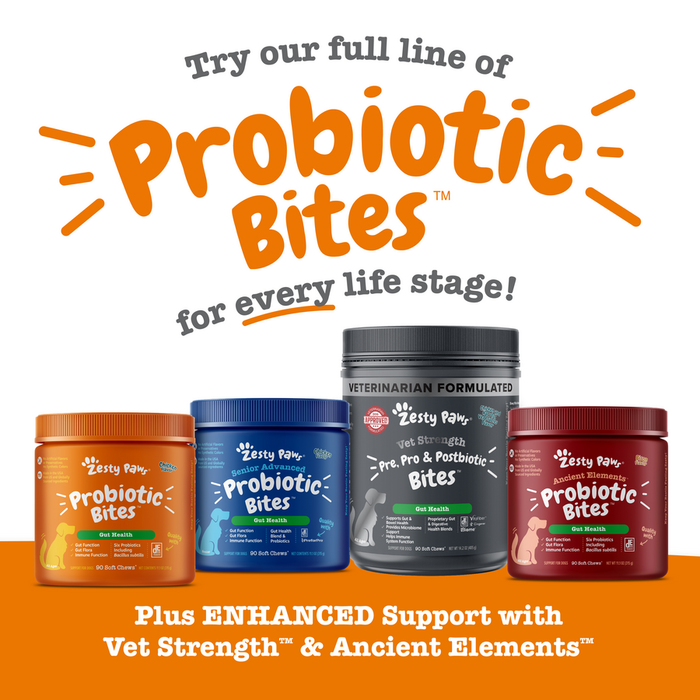 Vet Strength Pre, Post & Probiotic Bites™ for Dogs