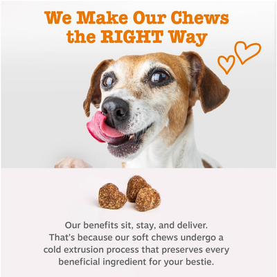 Allergy & Immune Bites with EpiCor® for Dogs | Zesty Paws