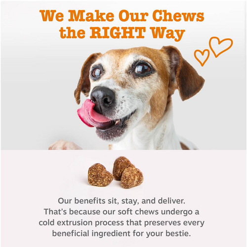 Allergy & Immune Bites with EpiCor® for Dogs | Zesty Paws