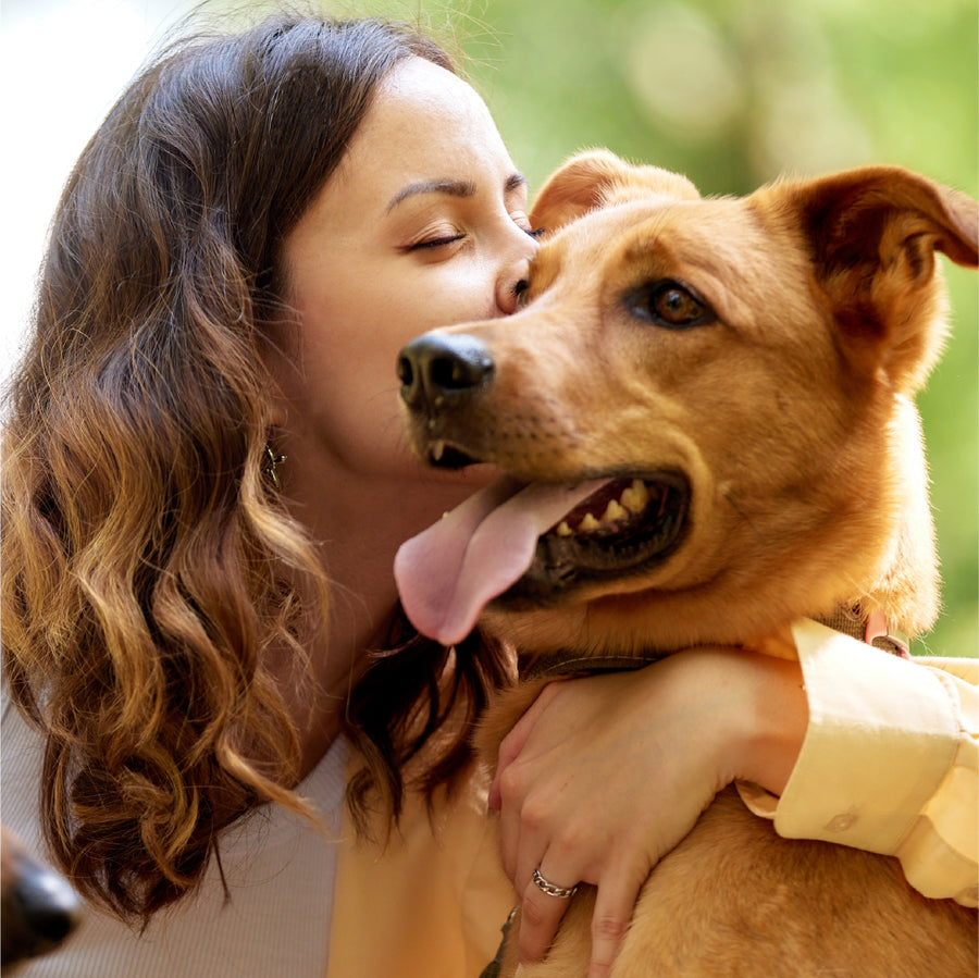 About Us | Zesty Paws