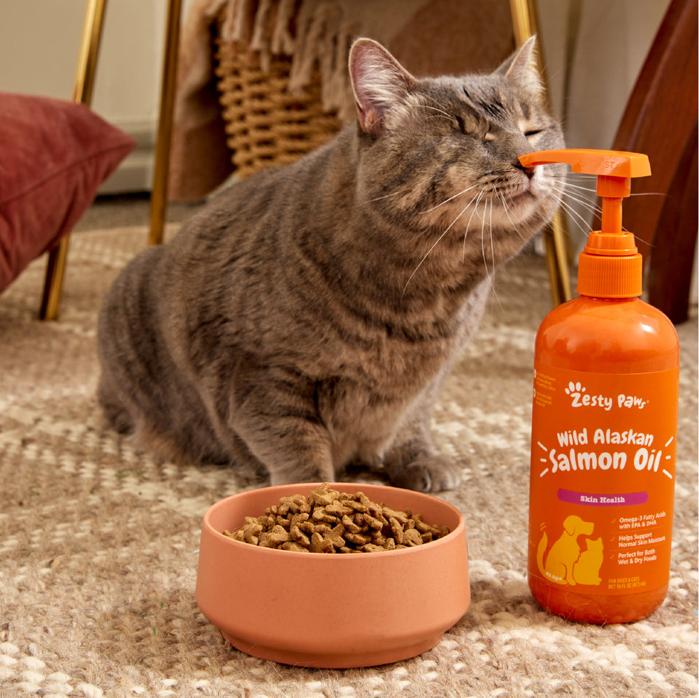 About Us | Zesty Paws