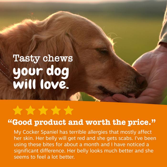 Allergy & Immune Bites with EpiCor® for Dogs | Zesty Paws