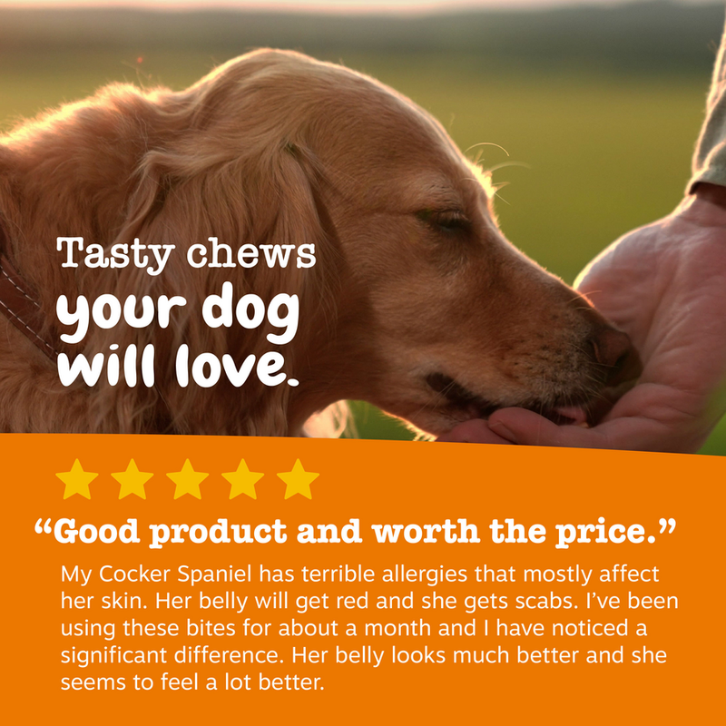 Allergy & Immune Bites with EpiCor® for Dogs | Zesty Paws