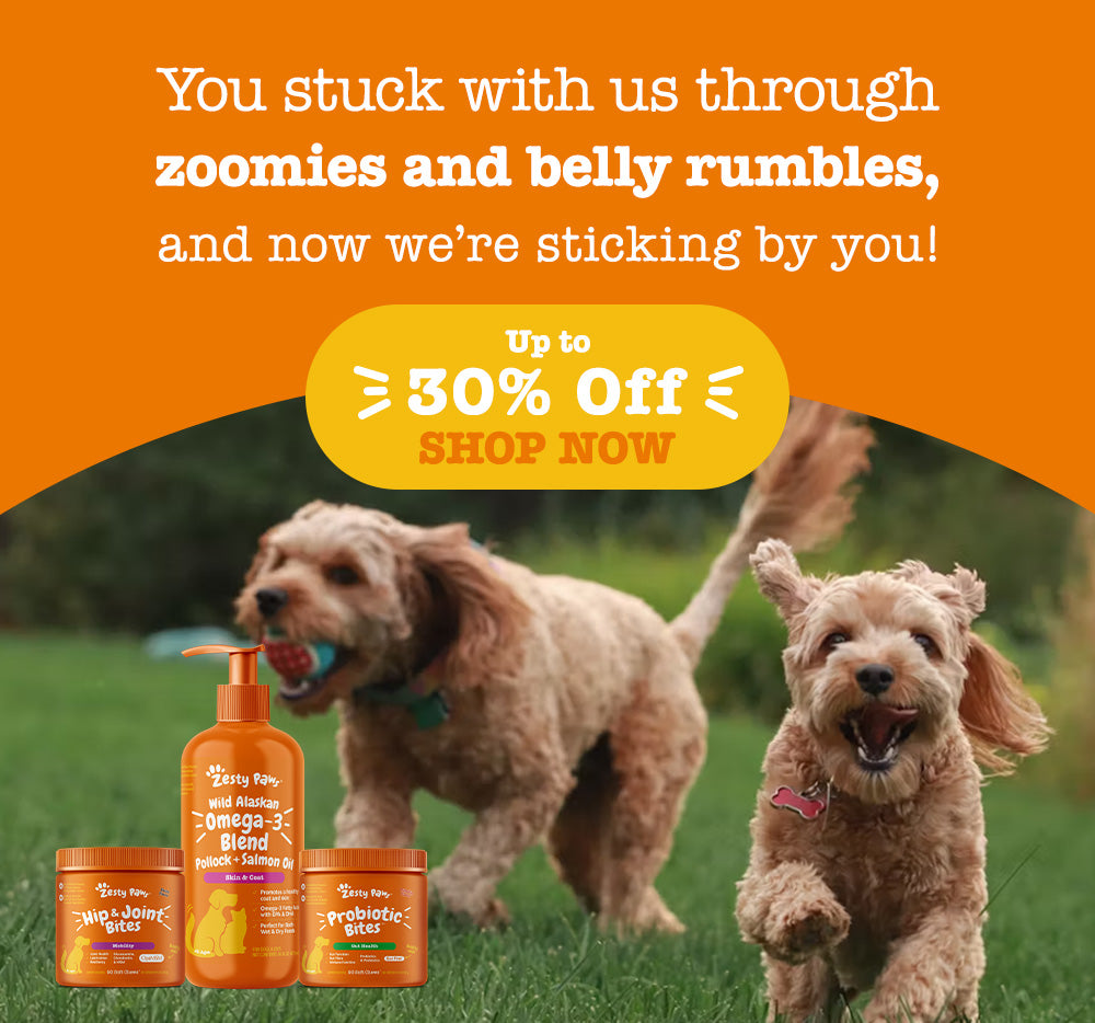 Zesty Paws | Premium Quality Cat and Dog Supplements
