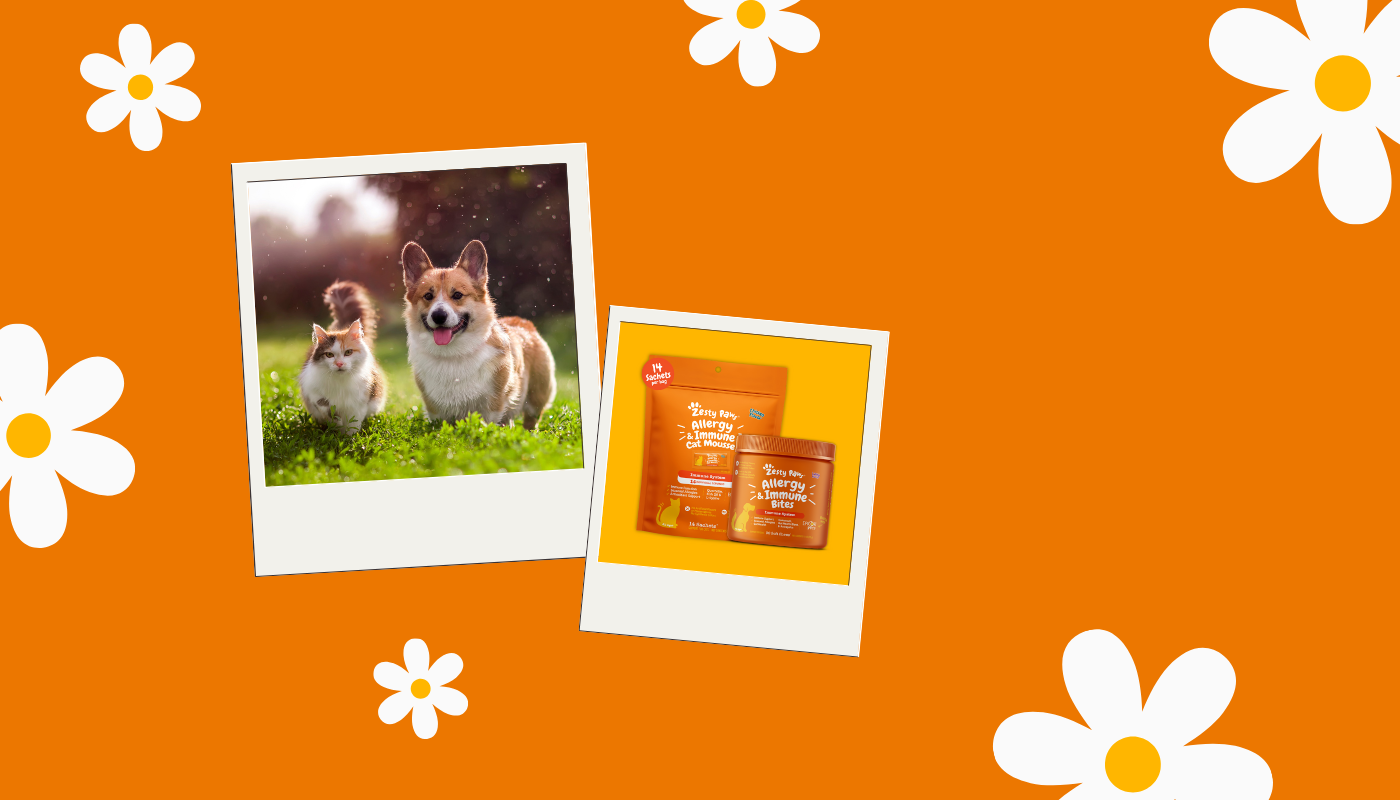 Zesty Paws | Premium Quality Cat and Dog Supplements