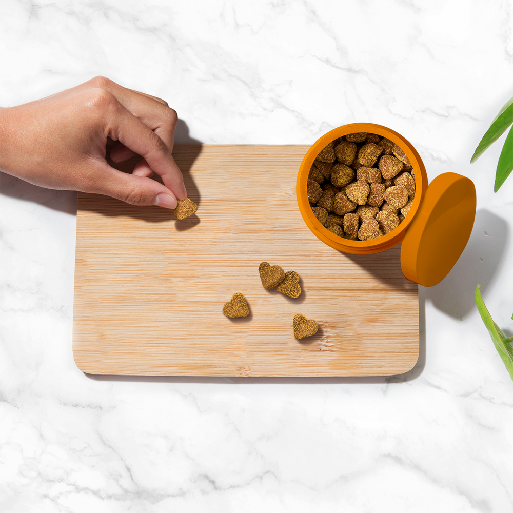 Advanced Calming Bites for Dogs 10ct