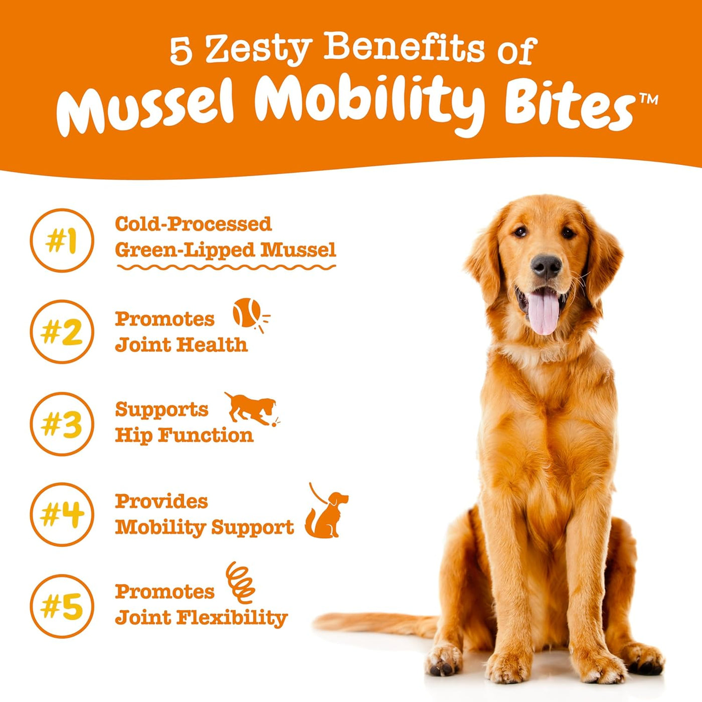 Zesty Paws | Mussel Mobility Bites™ for Dogs