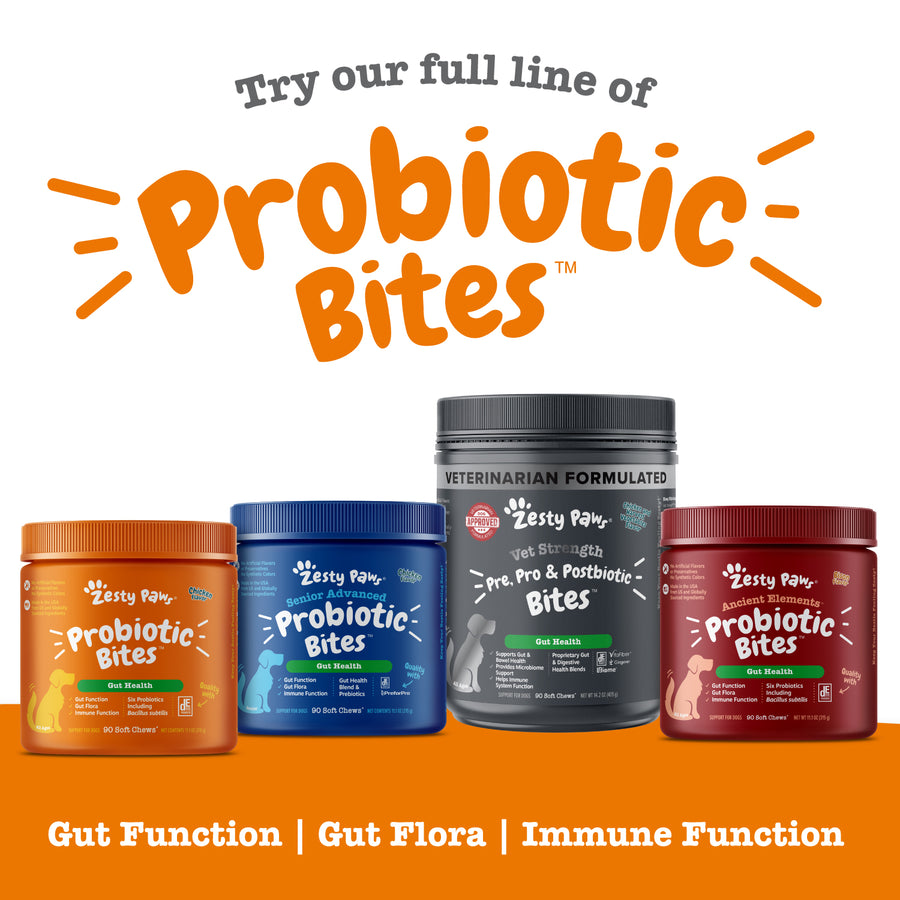 Probiotic Bites™ for Dogs with Digestive Enzymes | Zesty Paws