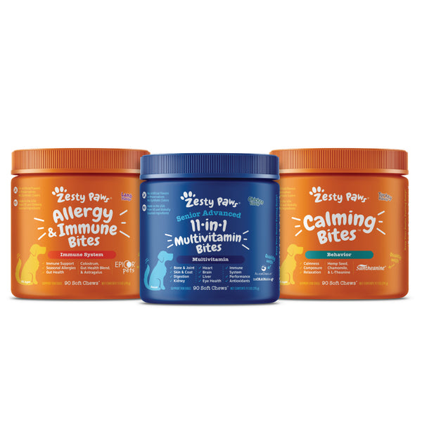 About Us | Zesty Paws