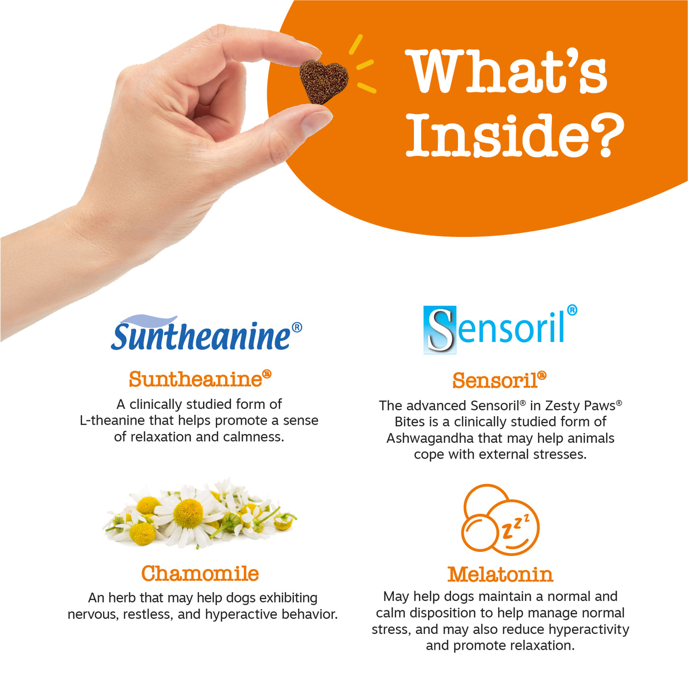 Advanced Calming Bites™ for Dogs | Melatonin | Zesty Paws