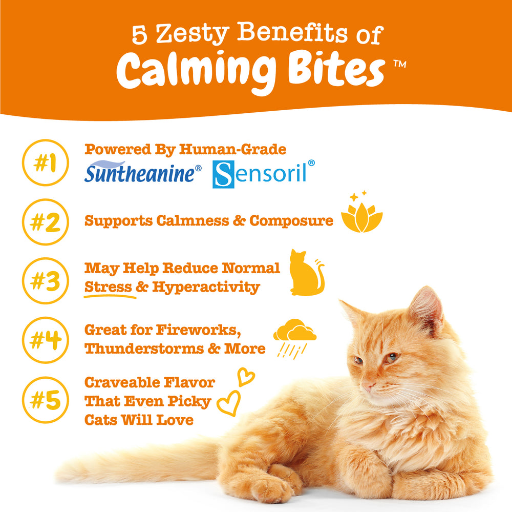 Calming Bites™ for Cats | Zesty Paws
