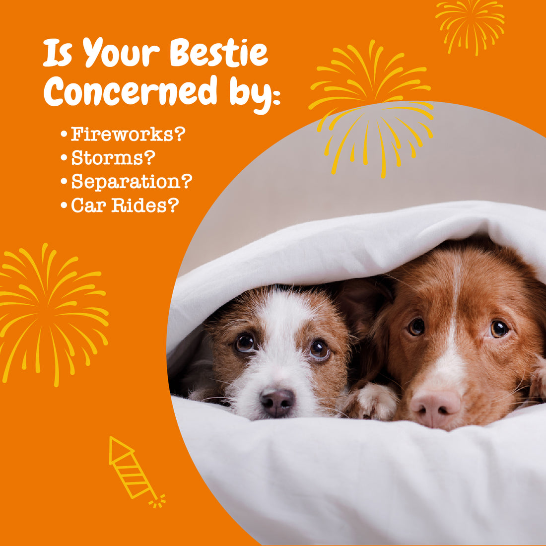 Calming Bites™ for Dogs | Stress & Anxiety | Zesty Paws