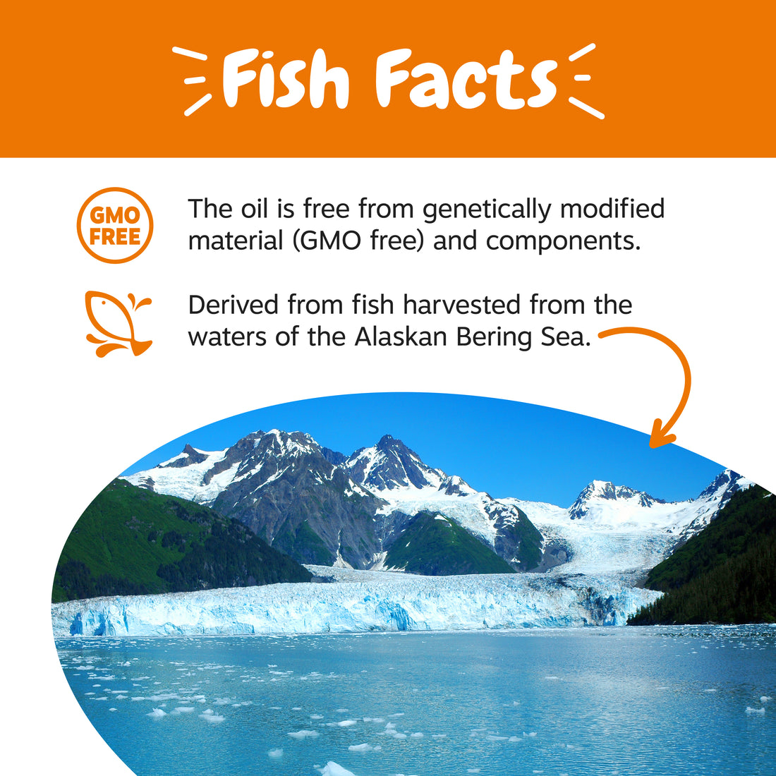 Zesty Paws | Premium Quality Cat and Dog Supplements