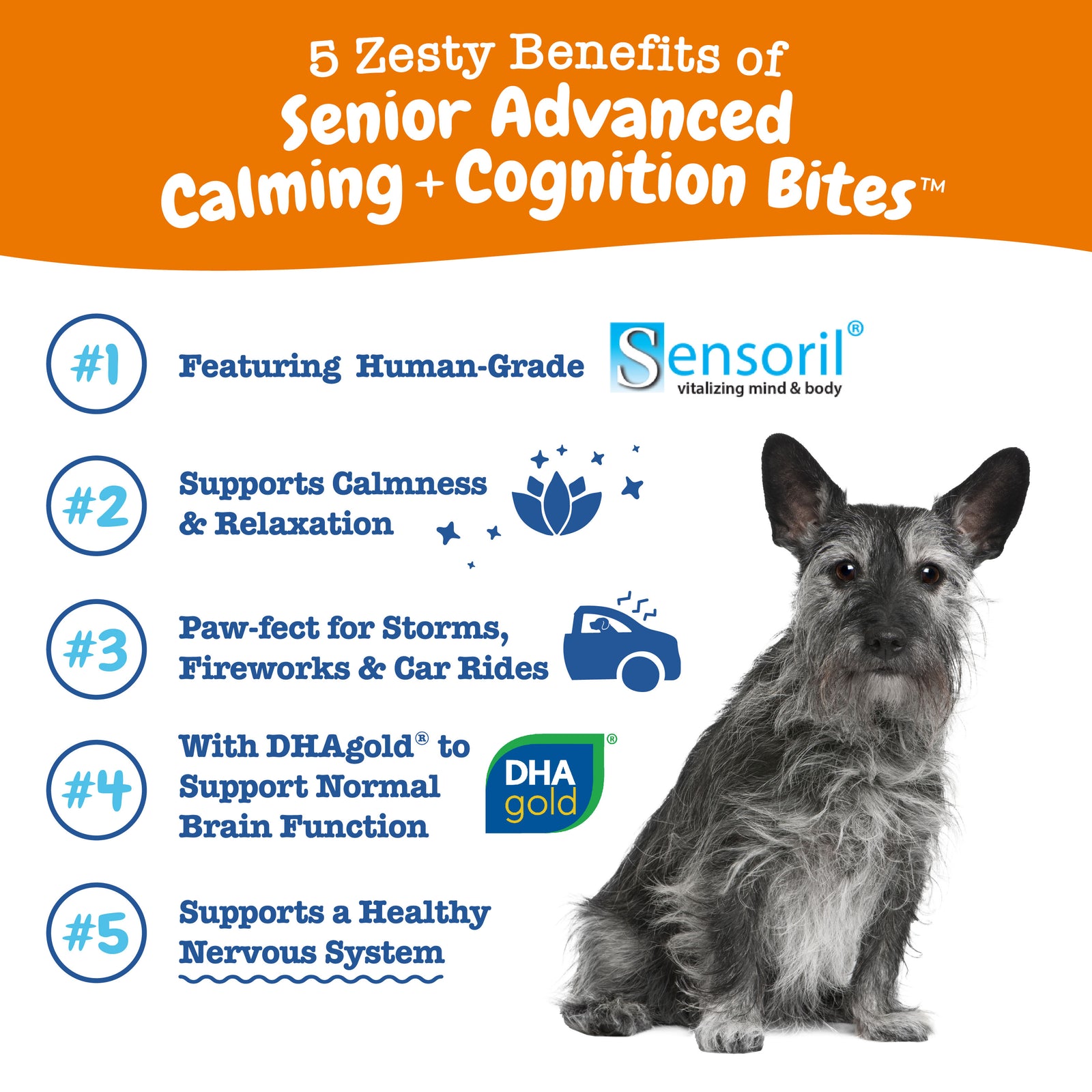 Zesty Paws Senior Advanced Calming & Cognition Bites are supplements ...