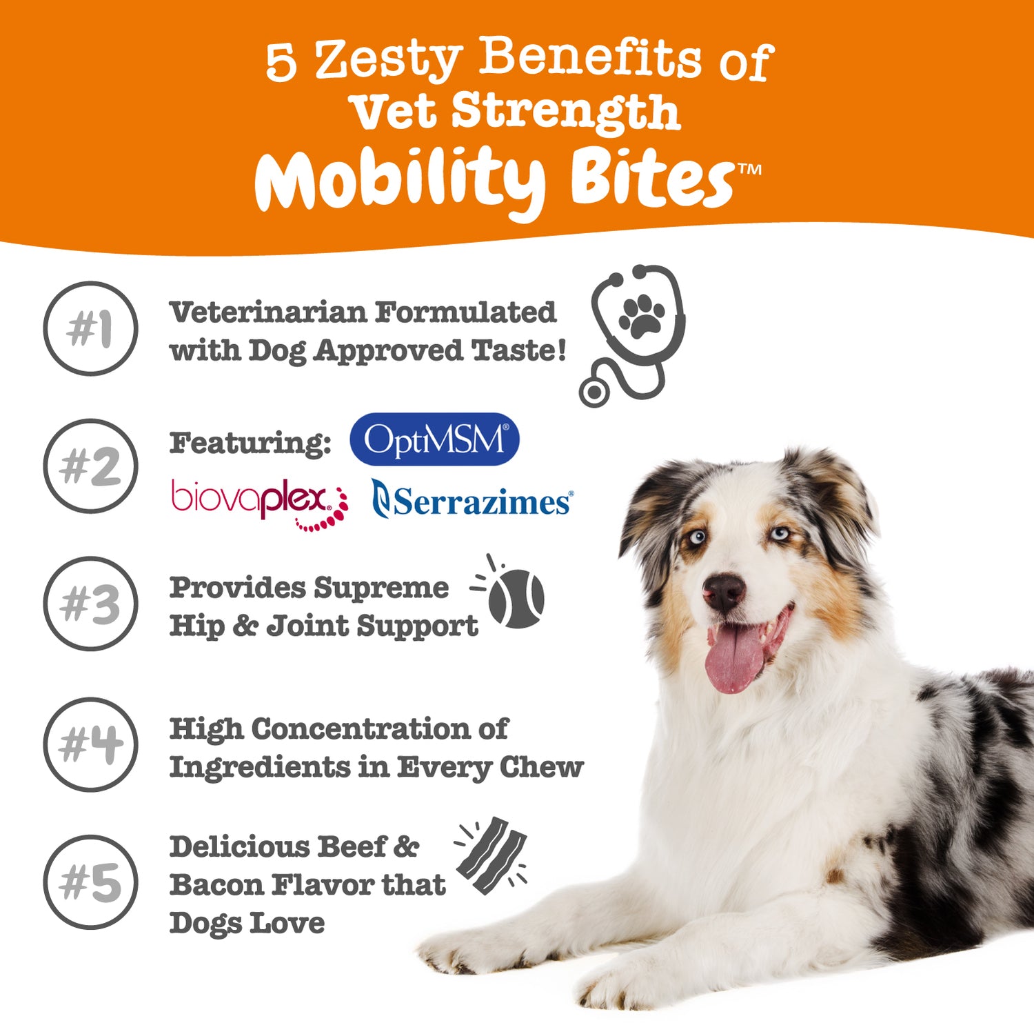 Vet Strength Hip & Joint Mobility Bites for Dogs - Supreme Hip & Joint