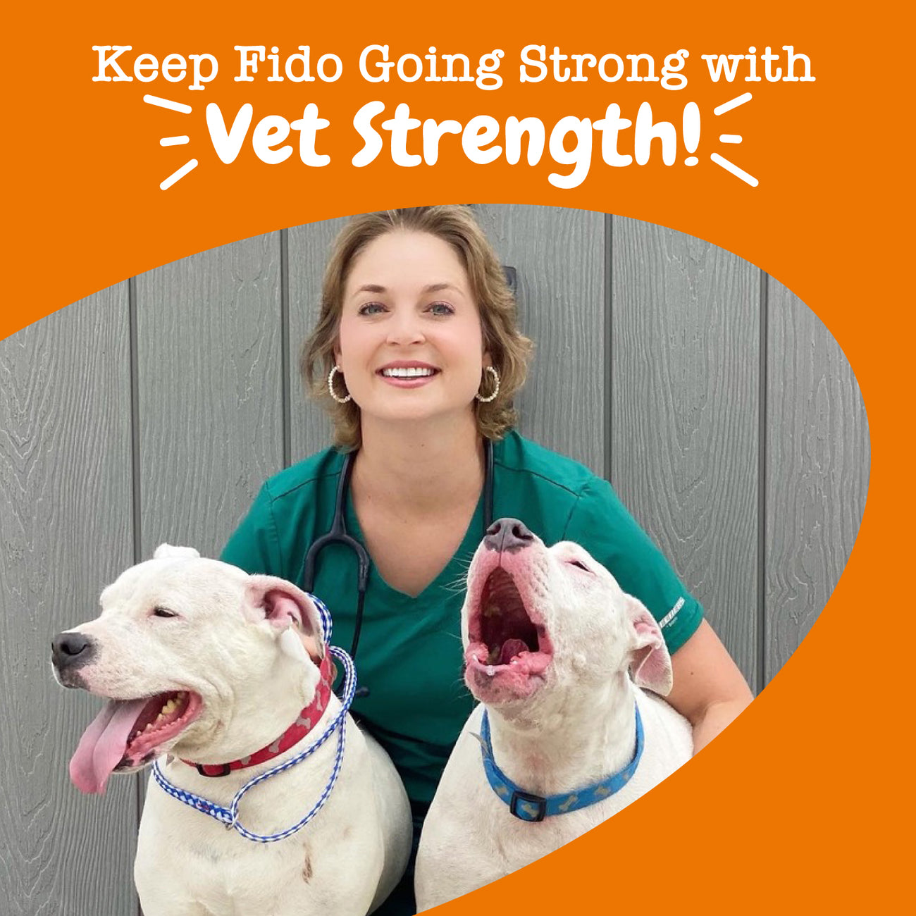 Vet Strength Hip & Joint Mobility Bites for Dogs - Supreme Hip & Joint