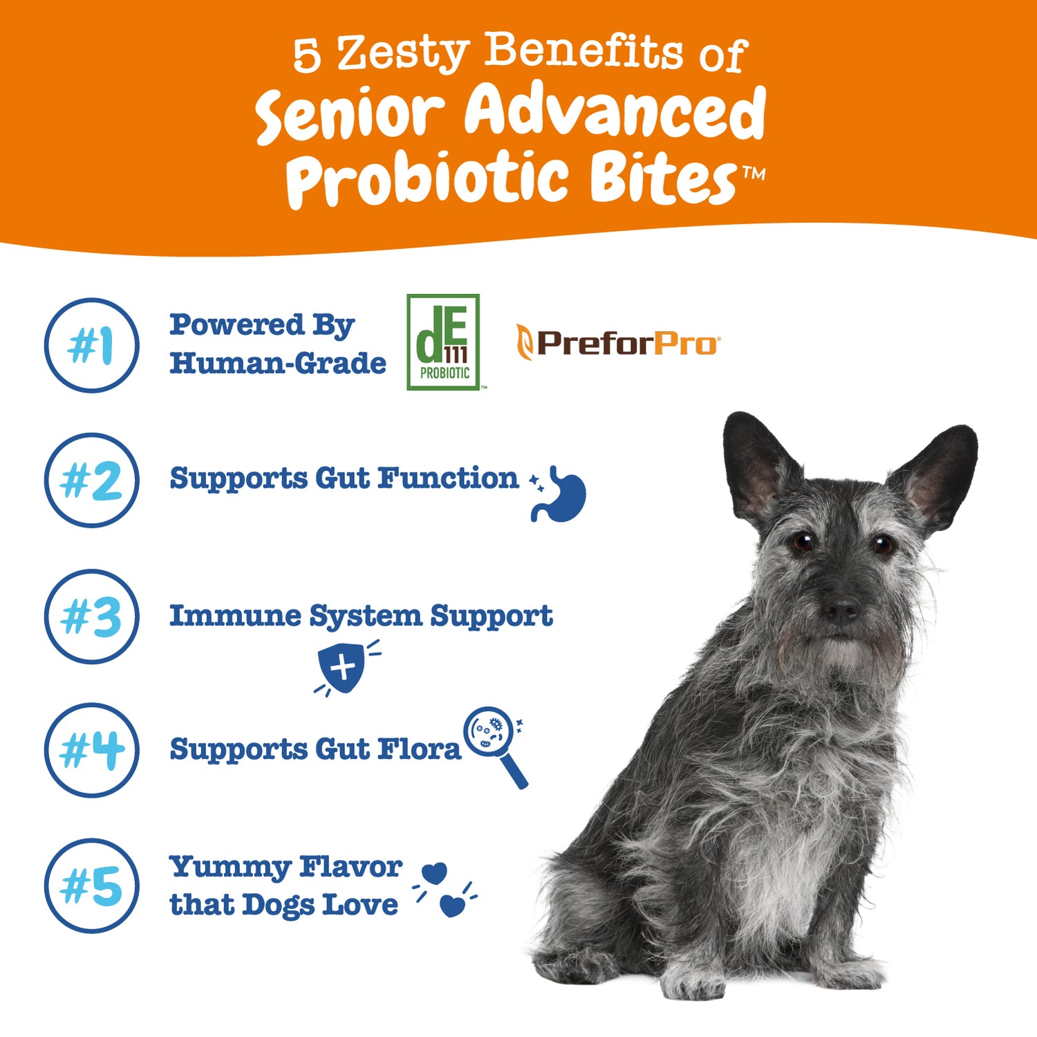 Advanced Probiotic Bites™ | Soft Chews for Senior Dogs | Zesty Paws
