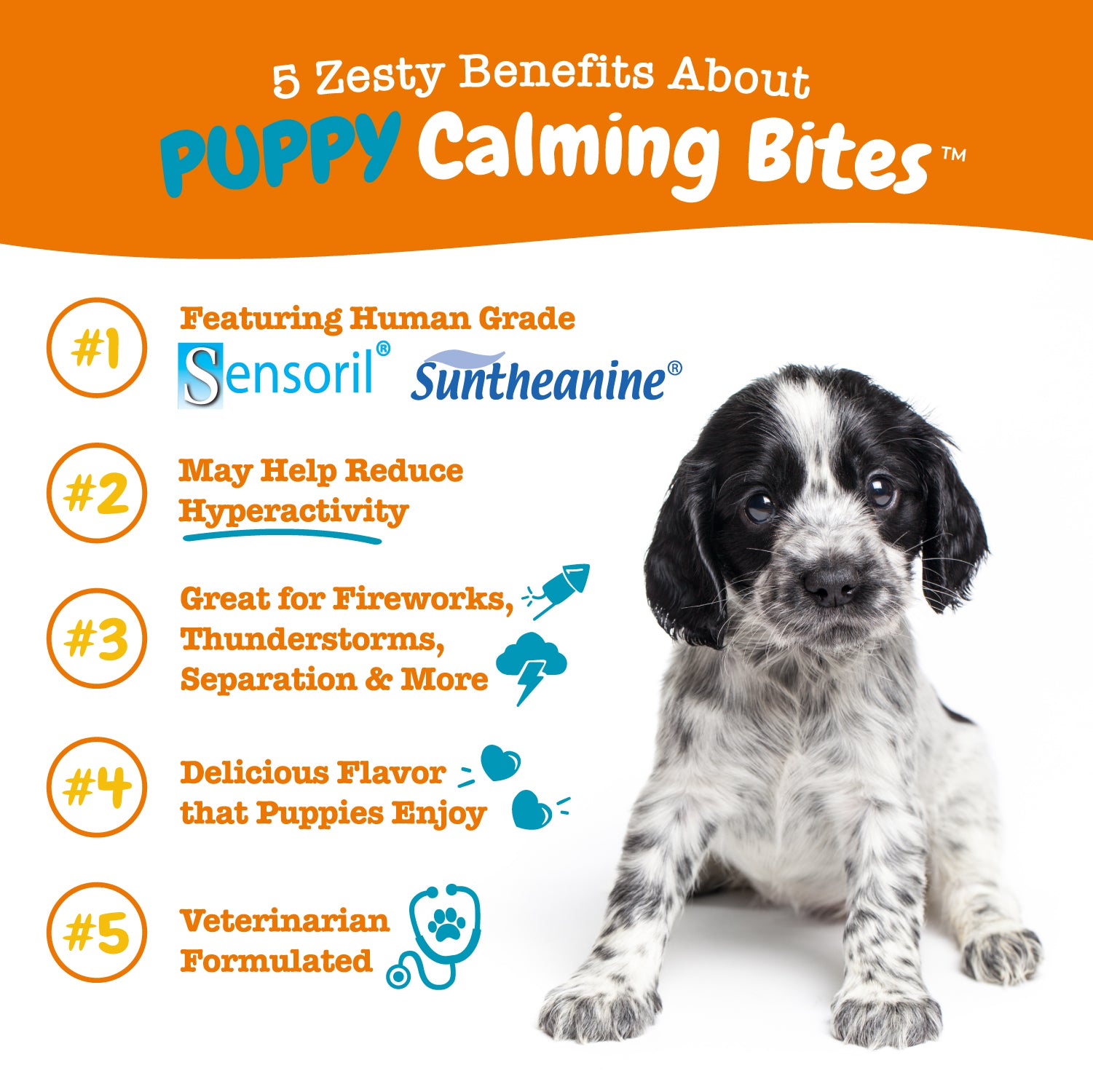 Puppy Calming Bites™ - Zesty Paws
