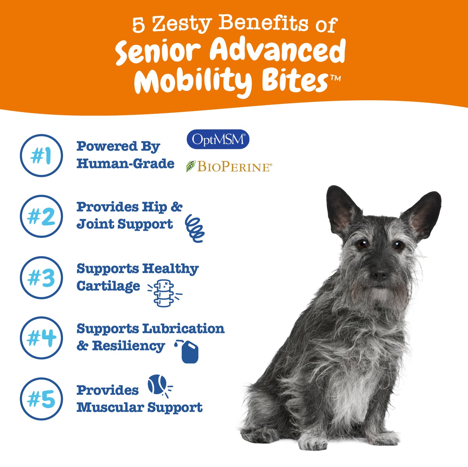Zesty Paws | Senior Advanced Mobility Bites™ for Dogs